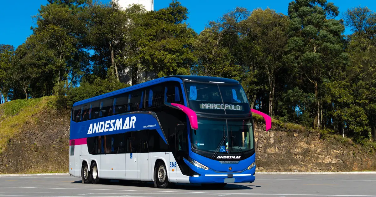 Andesmar: historia, trayectoria y presencia nacional • Armá Tu CV