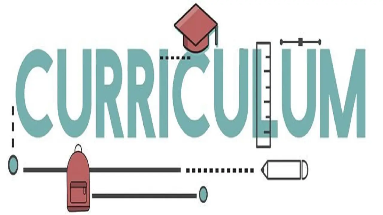 Investigación curricular para educadores • Armá Tu CV